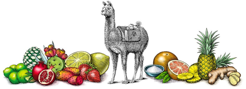 About Us - Fresh Victor