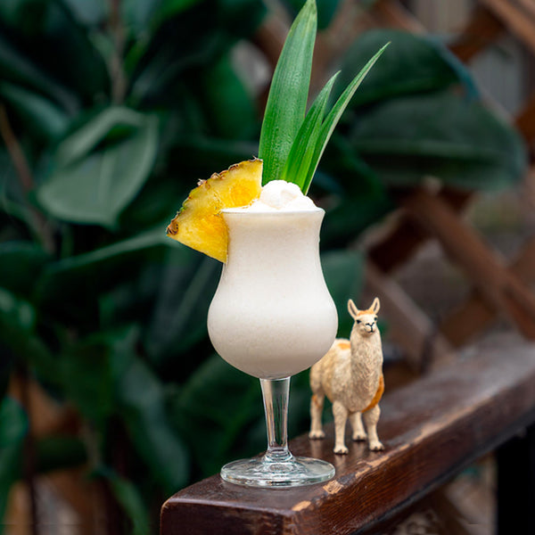 Pineapple & Ginger Root - 16 oz Single Bottle - Fresh Victor